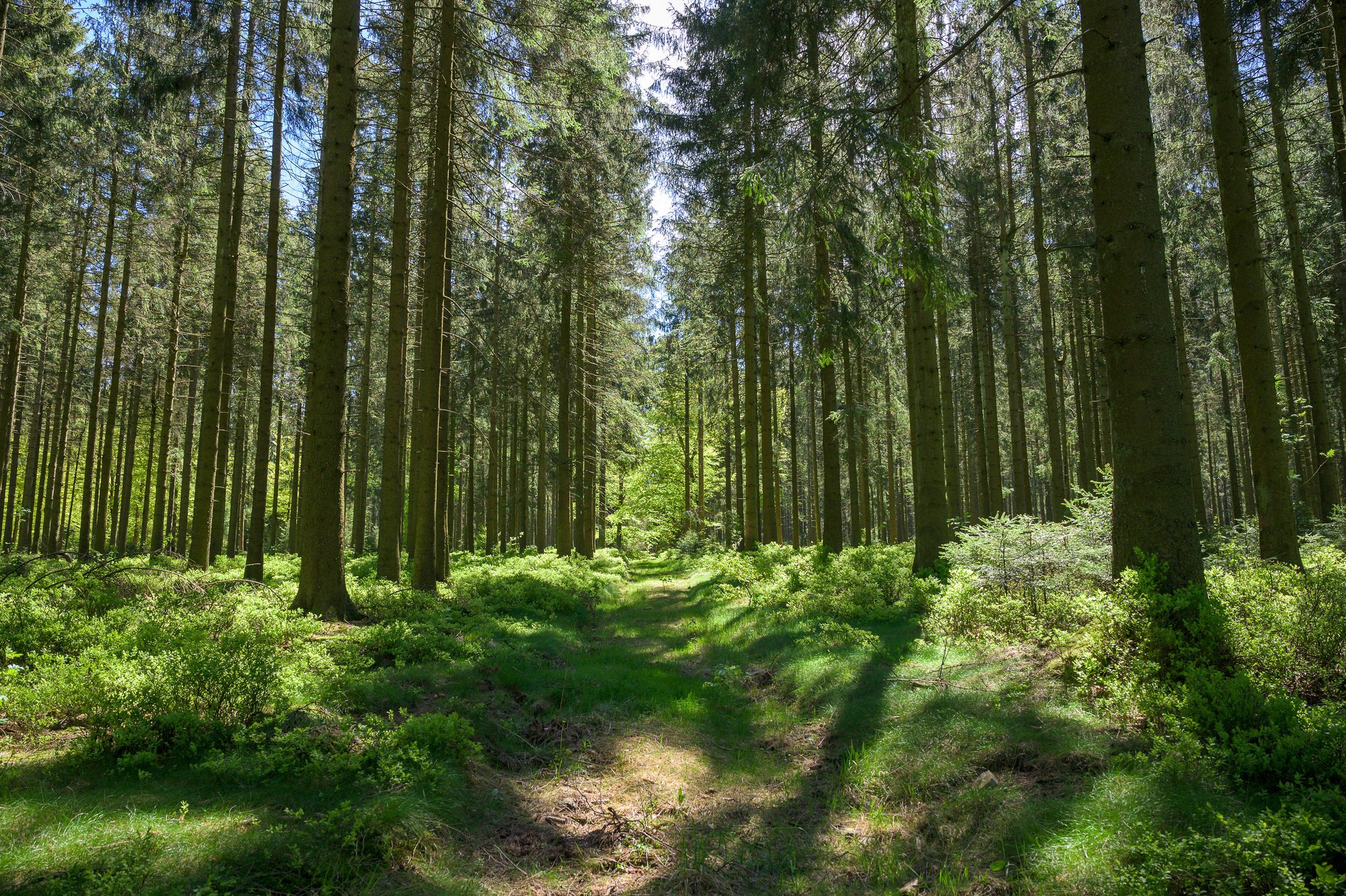 Découvrez ces 8 régions “en Ardenne” | Ardennes-étape