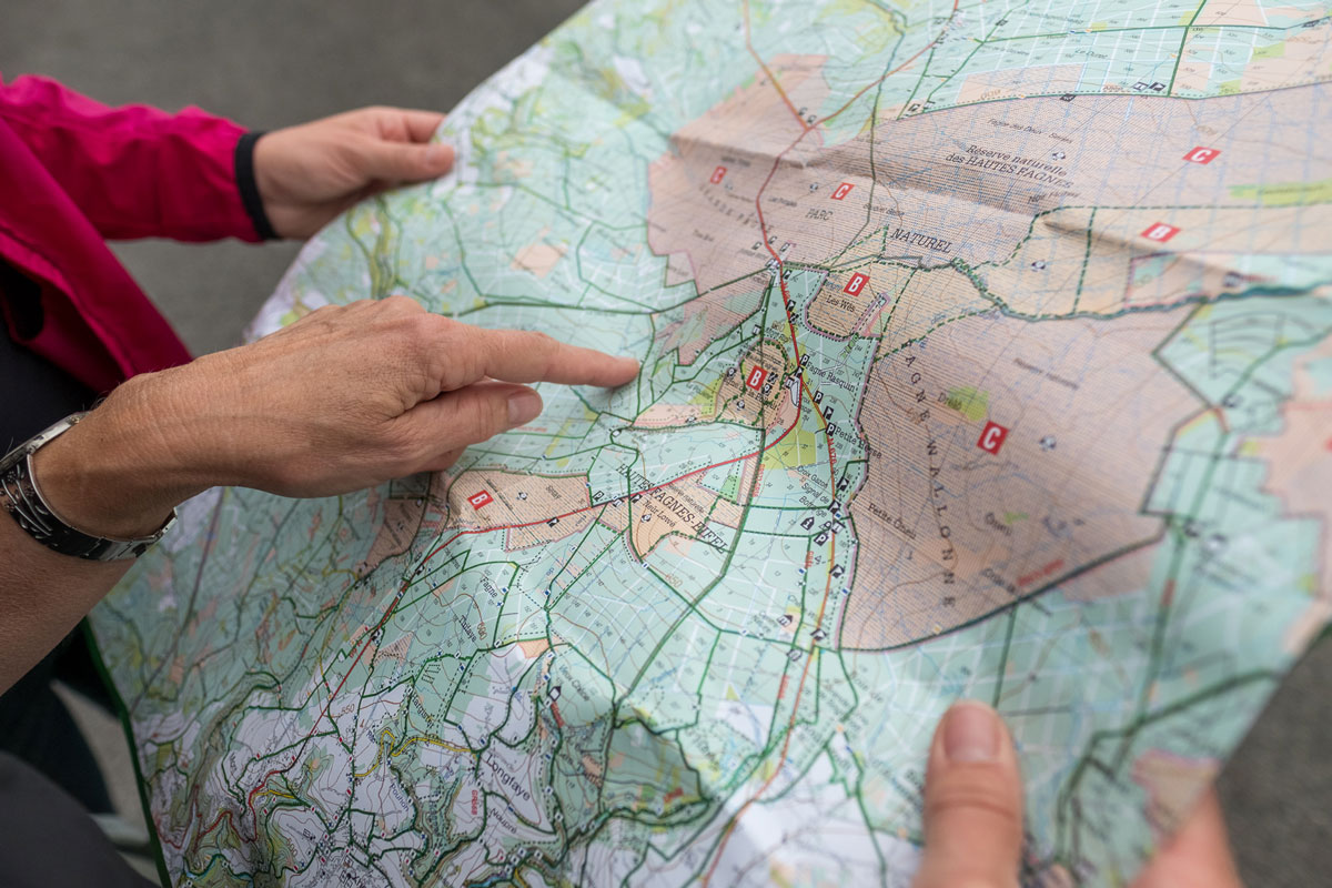 Où se promener en Hautes Fagnes avec son chien ? | Ardennes-étape Où se promener en Hautes Fagnes avec son chien ? | Ardennes-étape